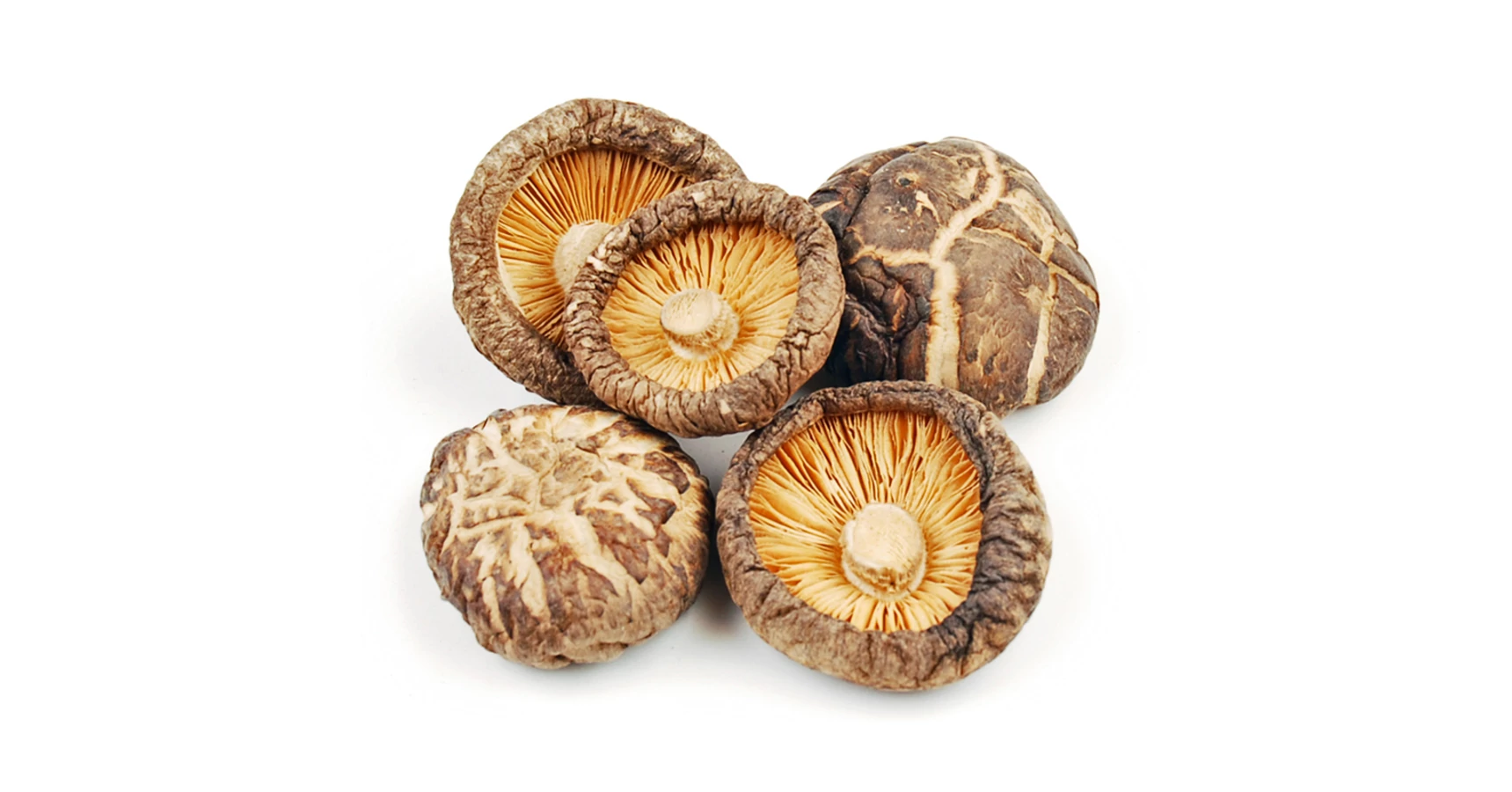 Szárított egész shiitake gomba lédig 1kg - Bulkshop Nagyker webáruház